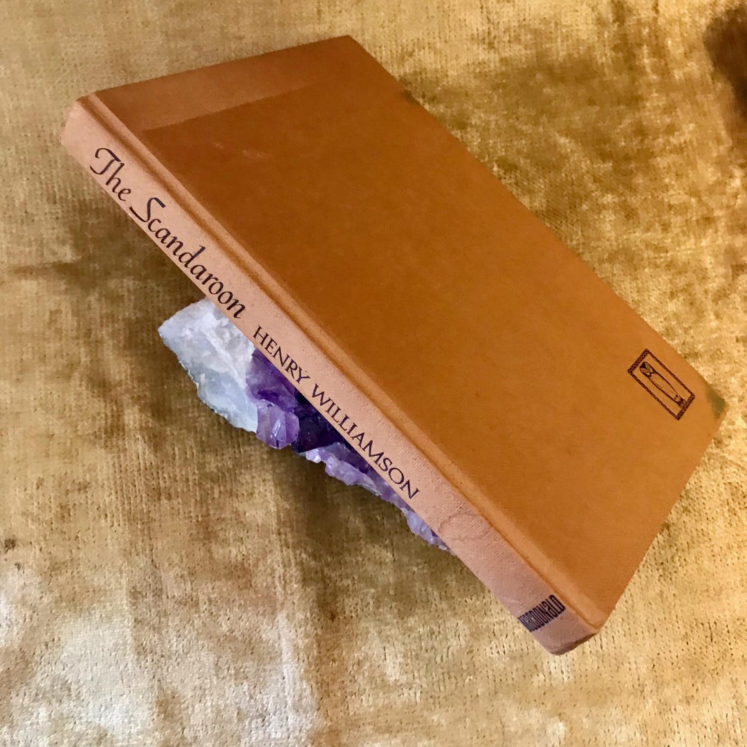 First Edition Hardback 'the Scandaroon' by Henry Williamson 1972 - Etsy