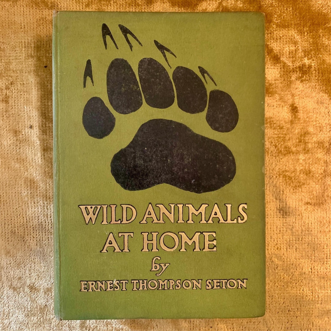 Antique Illustrated 'wild Animals' Book by Ernest Thompson Seton, 1913 ...
