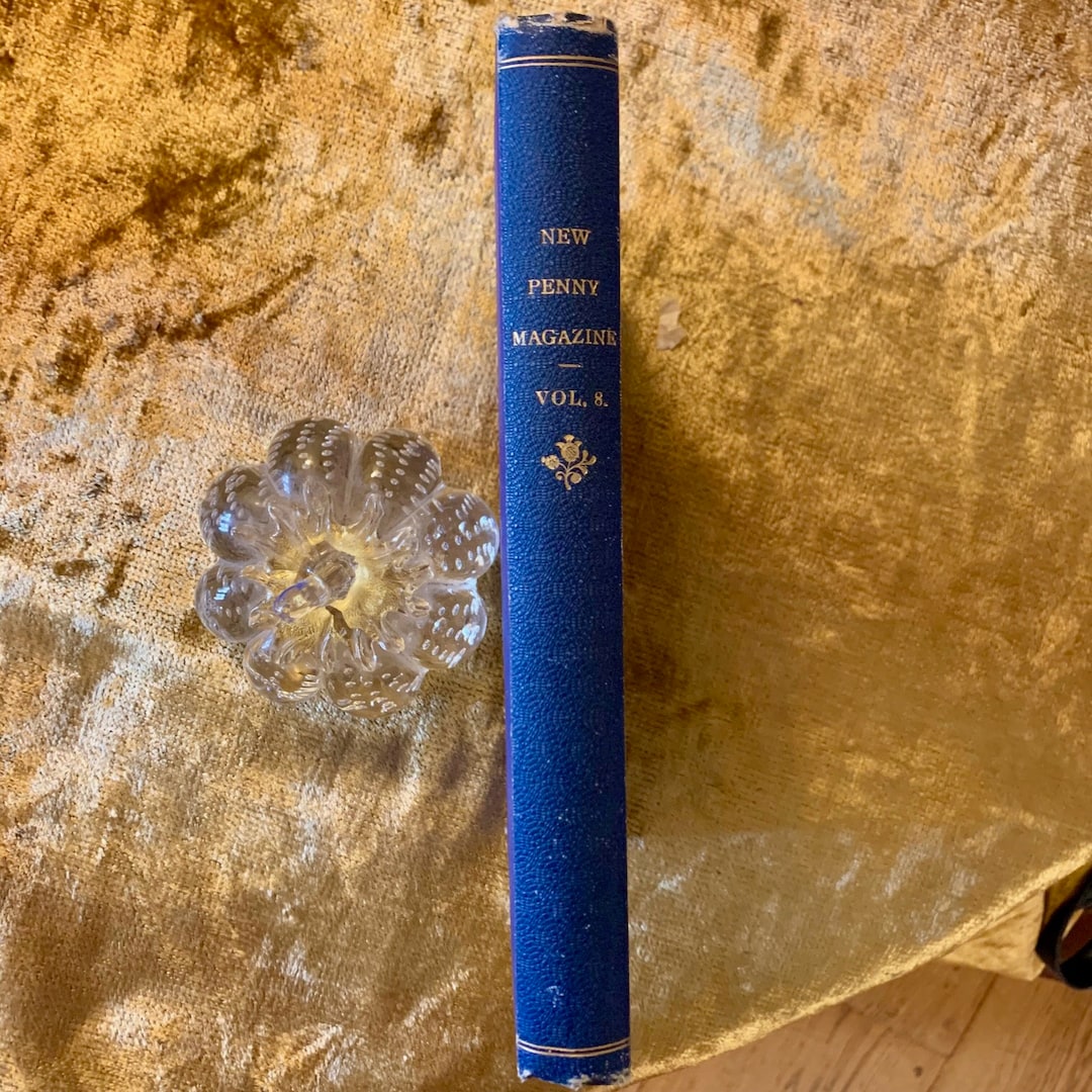 Bound Victorian Weekly Periodcal 'the New Penny Magazine', Three Months ...