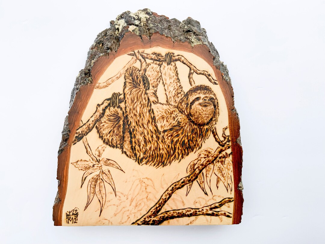 Detailed Wood Burned Sloth Hanging in Tree With Forest Background Fine ...