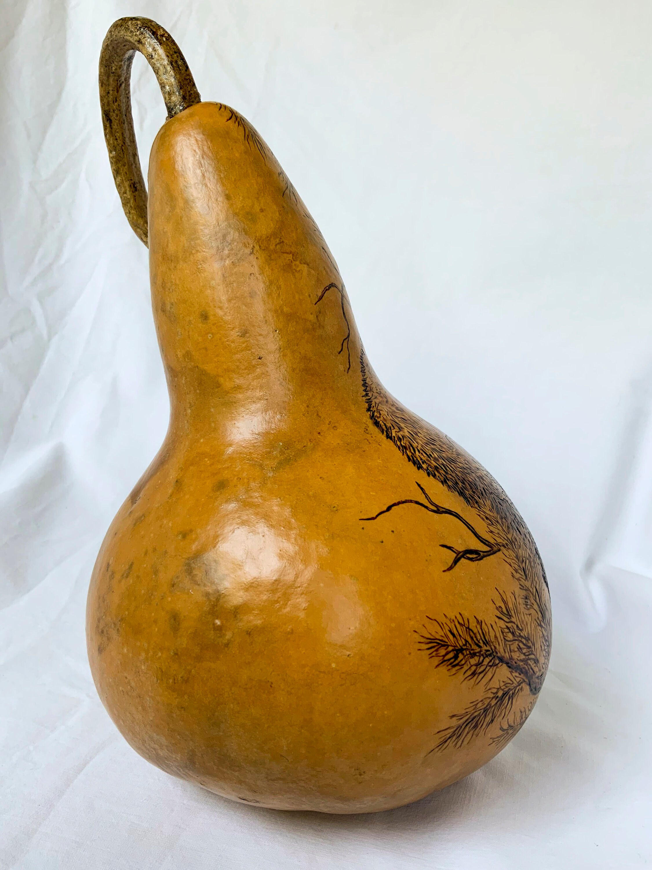 Wood Burned Gourd Bear Climbing Pine Tree Fine Art - Etsy