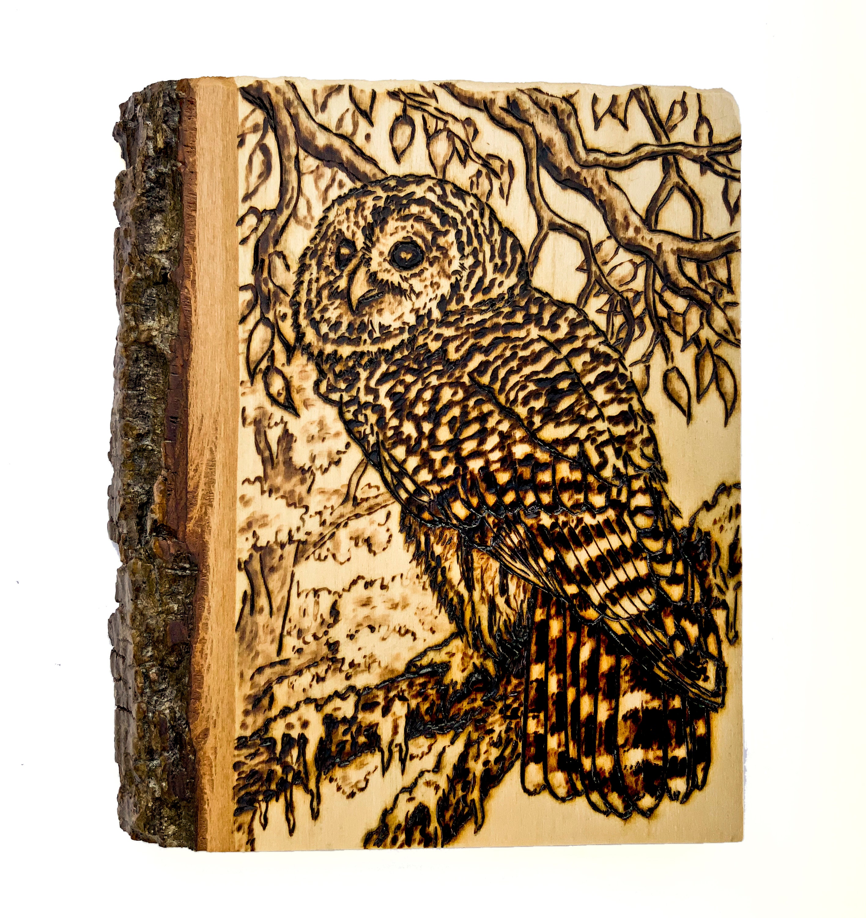 Rustic Detailed Wood Burned Barred Owl in the Woods on Tree Branch With ...