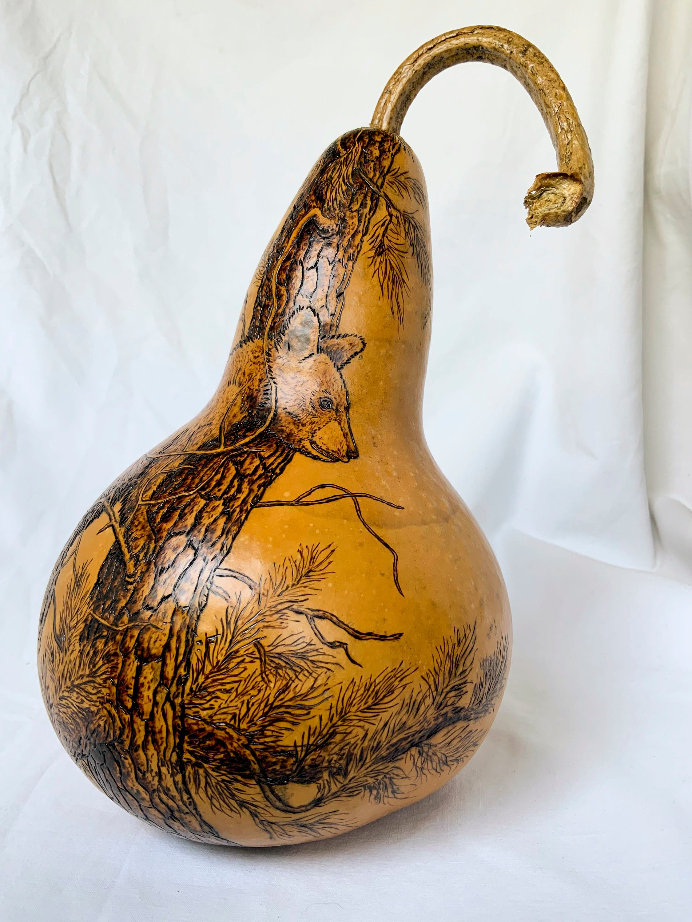 Wood Burned Gourd Bear Climbing Pine Tree Fine Art - Etsy