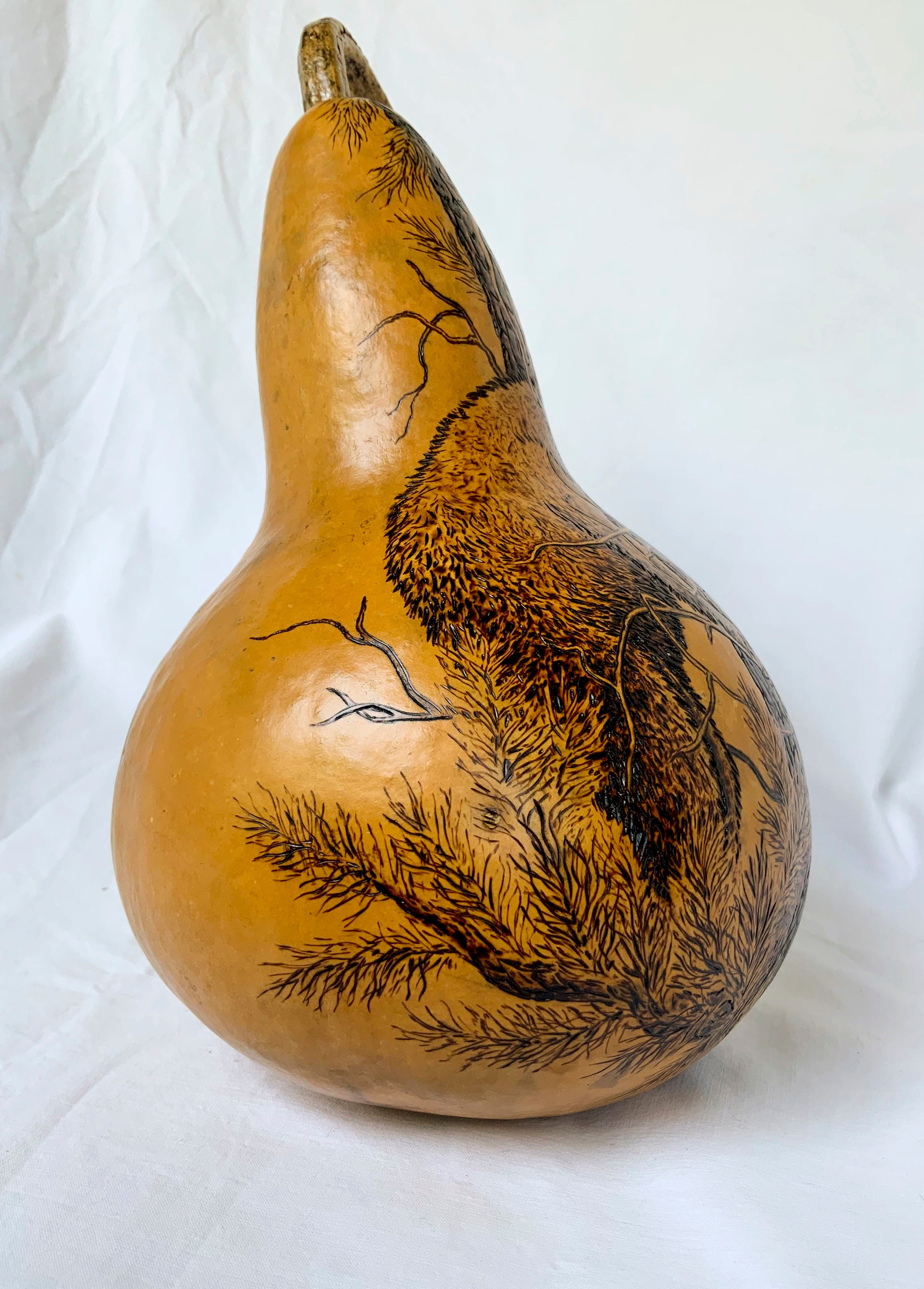 Wood Burned Gourd Bear Climbing Pine Tree Fine Art - Etsy