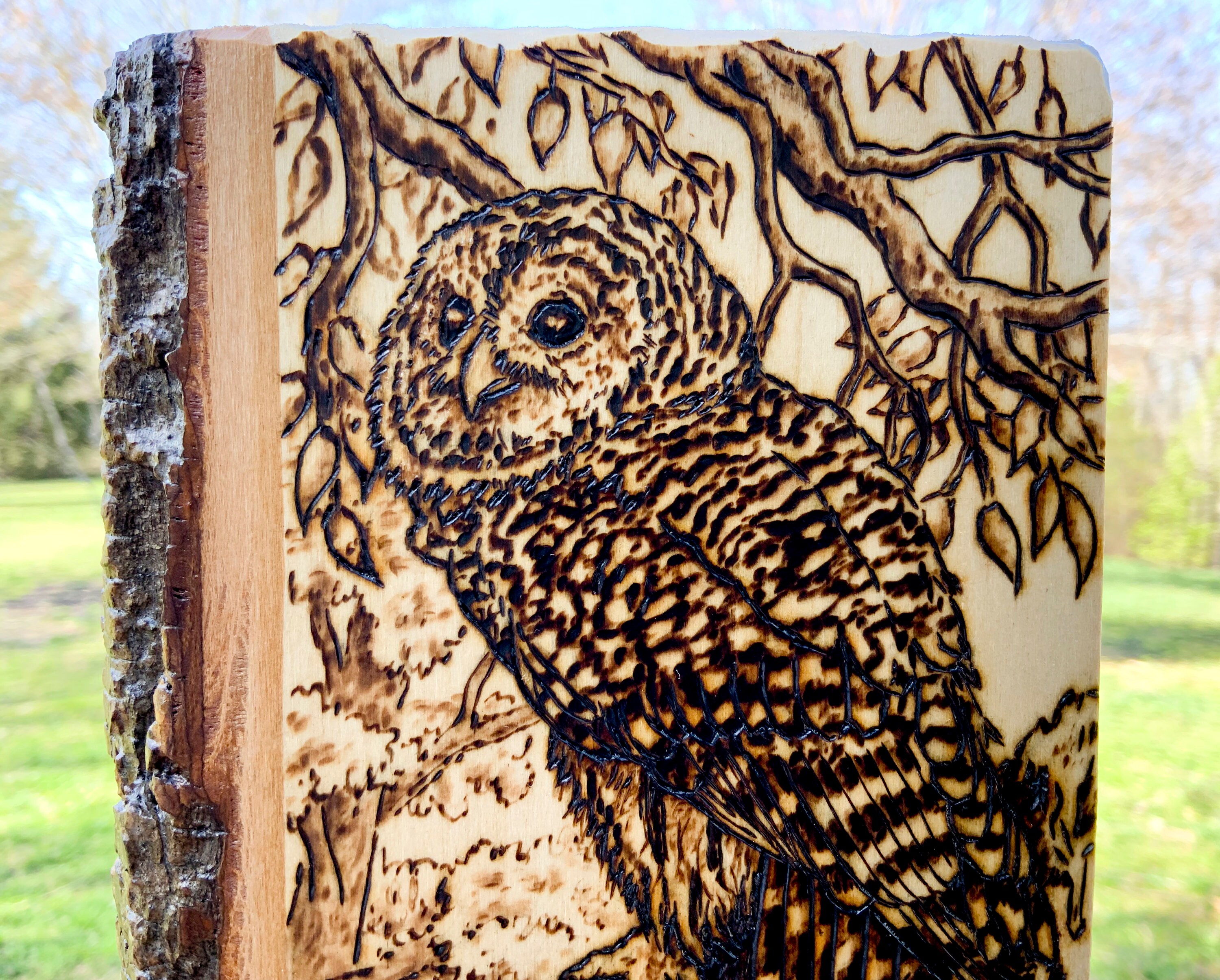 Rustic Detailed Wood Burned Barred Owl in the Woods on Tree - Etsy