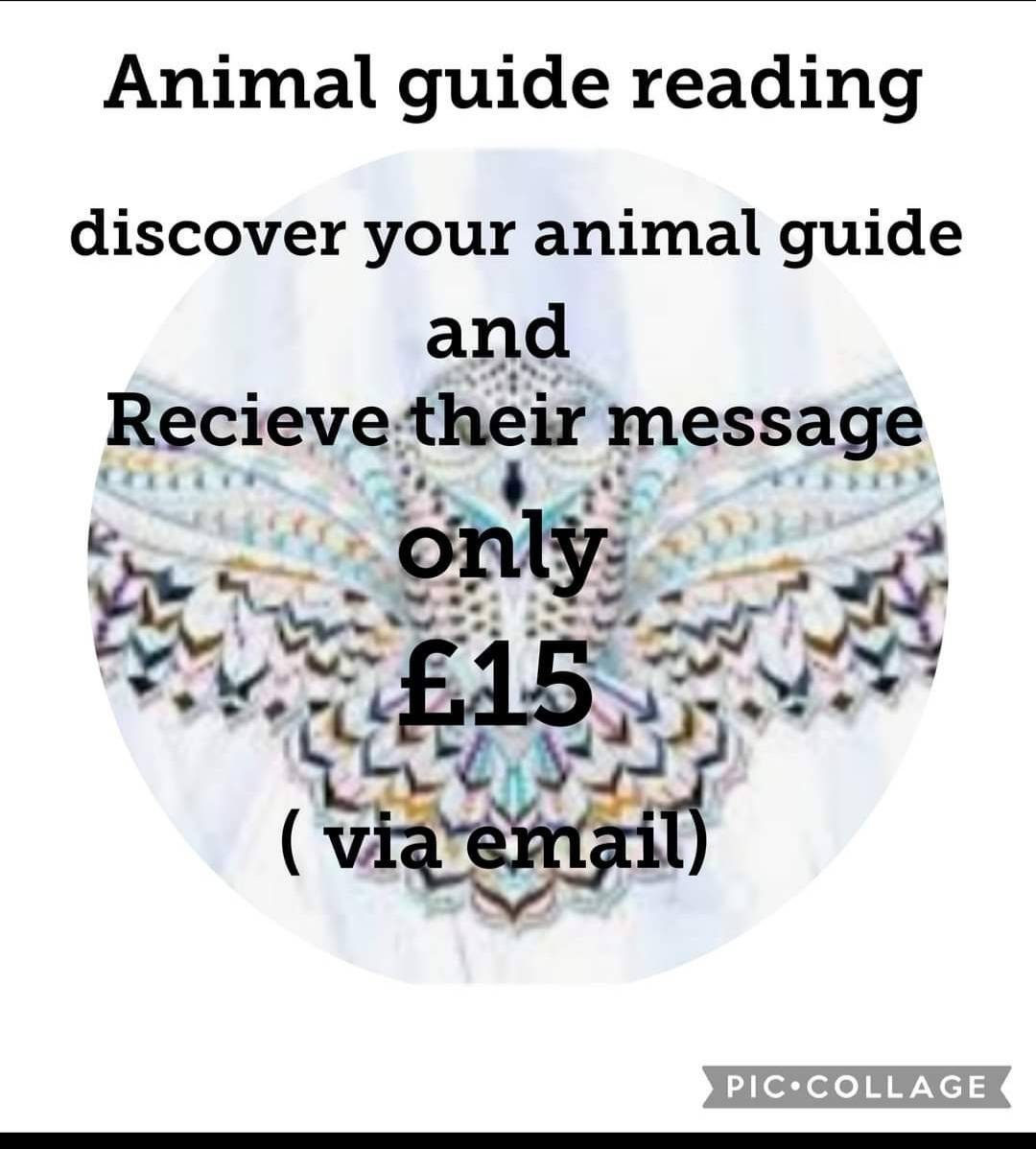 Animal Guide Reading - Etsy