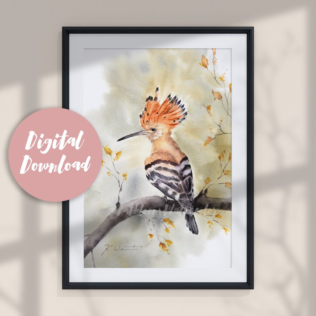 Hoopoe Watercolor Painting Instant Download Digital Download 4 X PNG ...