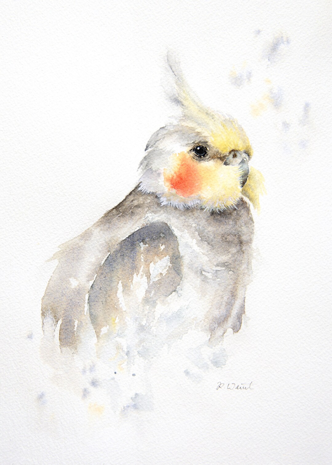 Cockatiel - Fine Art Print | Bird Watercolor | Museum Quality ...