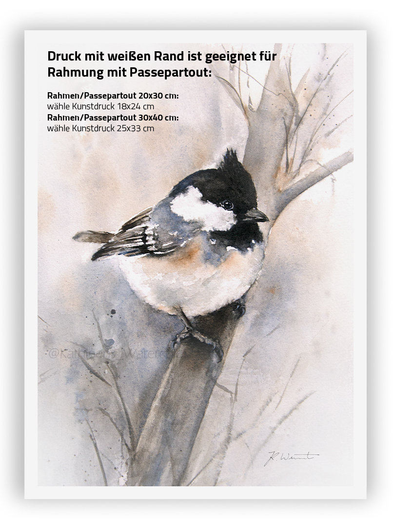 Fine Art Print Kunstdruck Vogel Poster Print Wandbild - Etsy.de