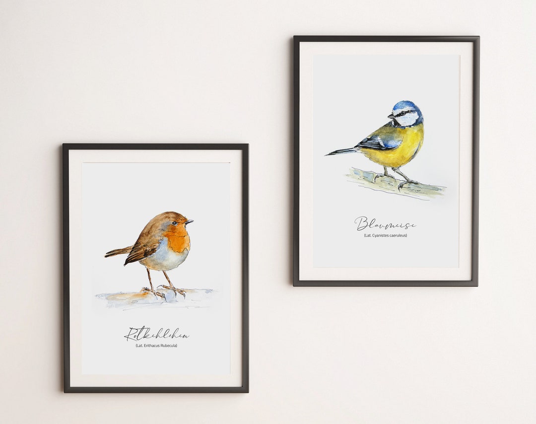 Robin Blue Tit Watercolor Set of 2 Fine Art Print Birds Watercolor ...
