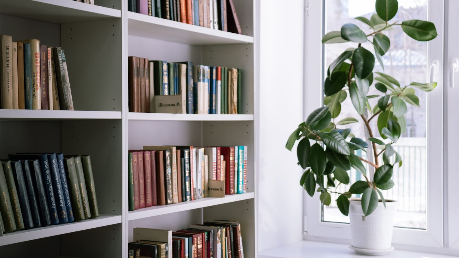 Zoom Background Bookshelf, Virtual Bookshelf, Backdrop, Office ...