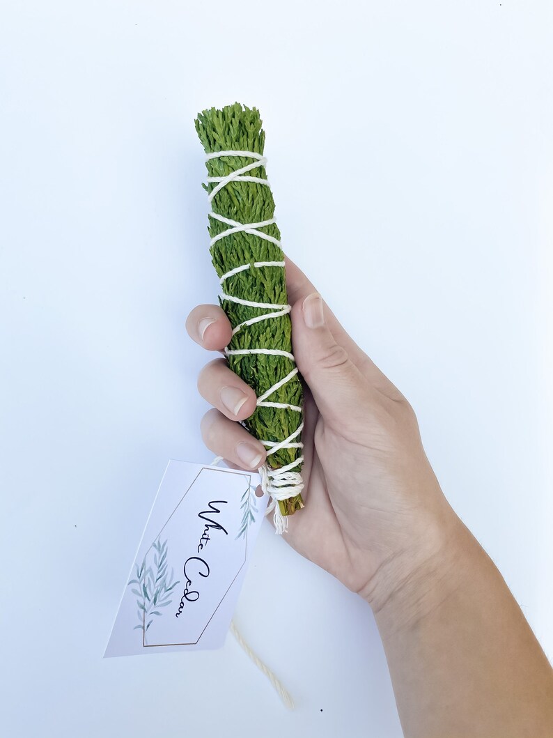 White Cedar Smoke Cleansing Stick | 6" Herb Bundle (for Banishing ...