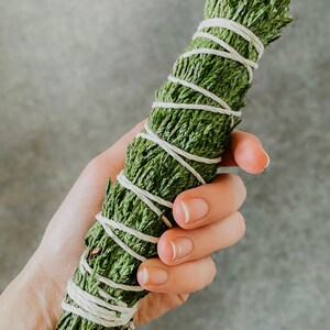 White Cedar Smoke Cleansing Stick 6 Herb Bundle for | Etsy