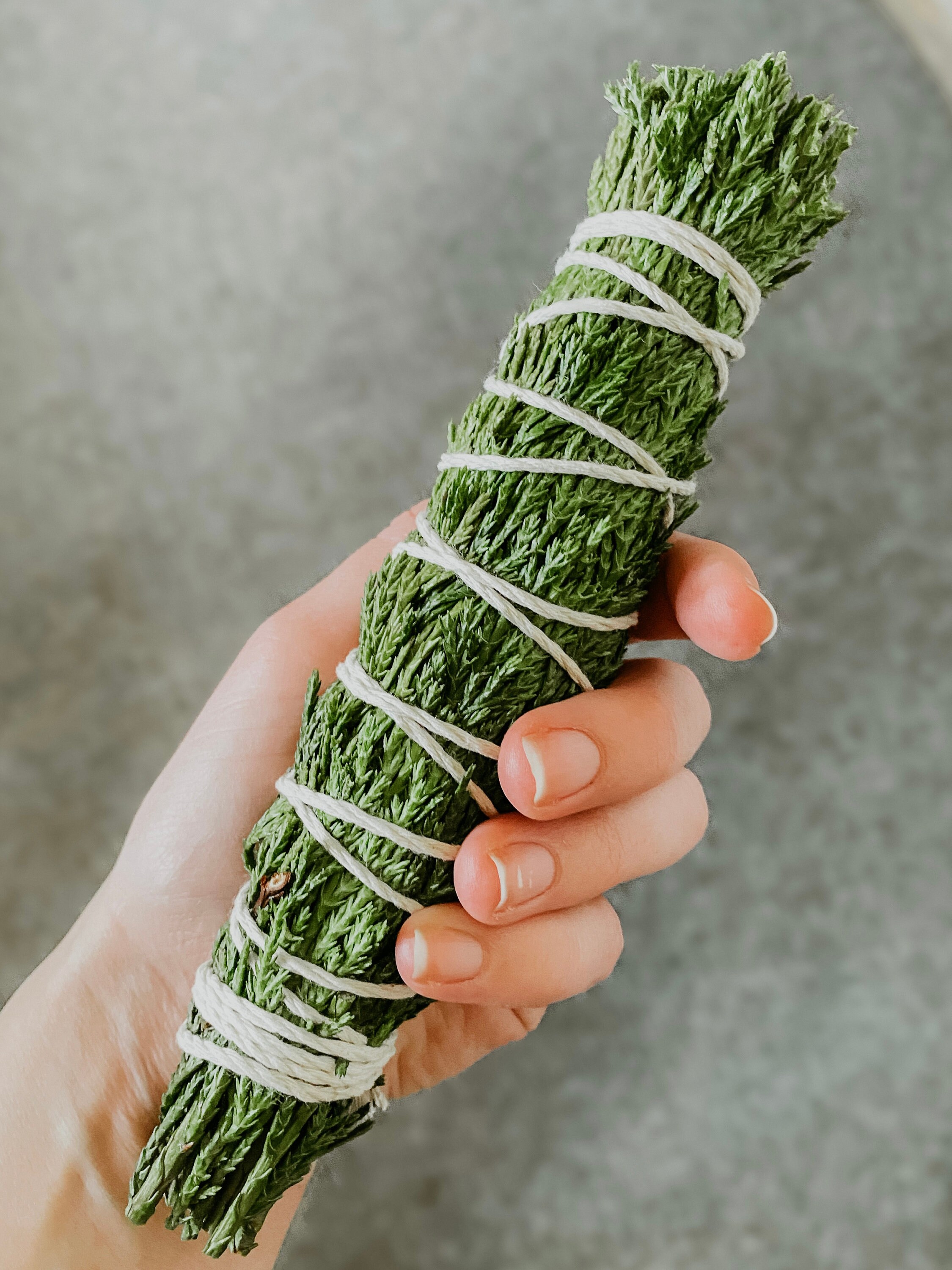 White Cedar Smoke Cleansing Stick 6 Herb Bundle for | Etsy