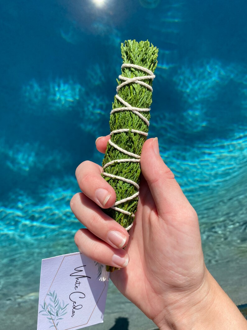 White Cedar Smoke Cleansing Stick 6 Herb Bundle for | Etsy