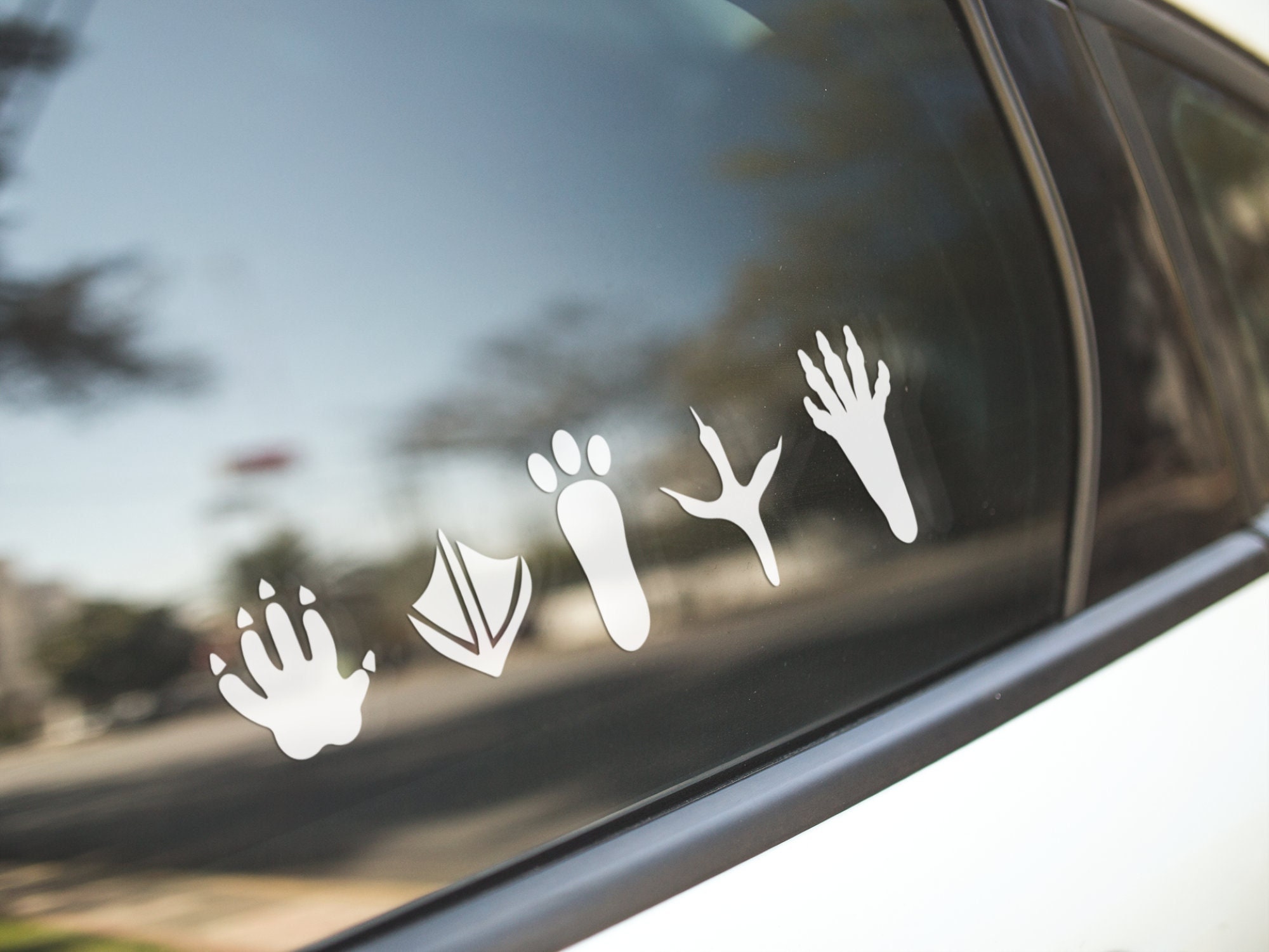 Wildlife Decal Animal Footprint Wildlife Vinyl Feet - Etsy