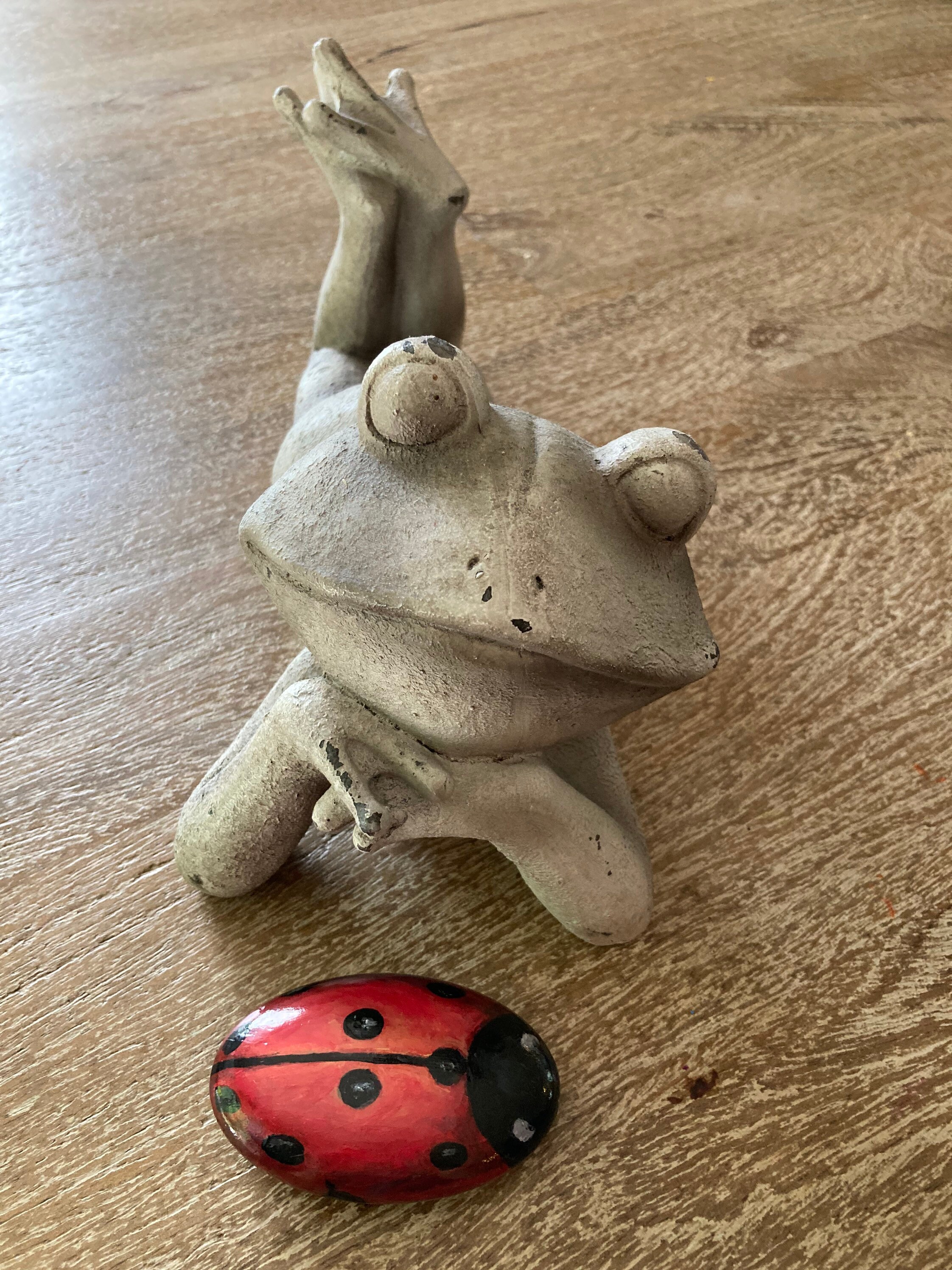 Painted Rock Ladybug Ladybug Rock Zen Decor Paperweight - Etsy