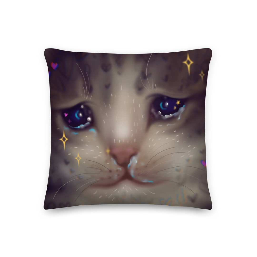 Double Sided Crying Cat Pillow - Etsy