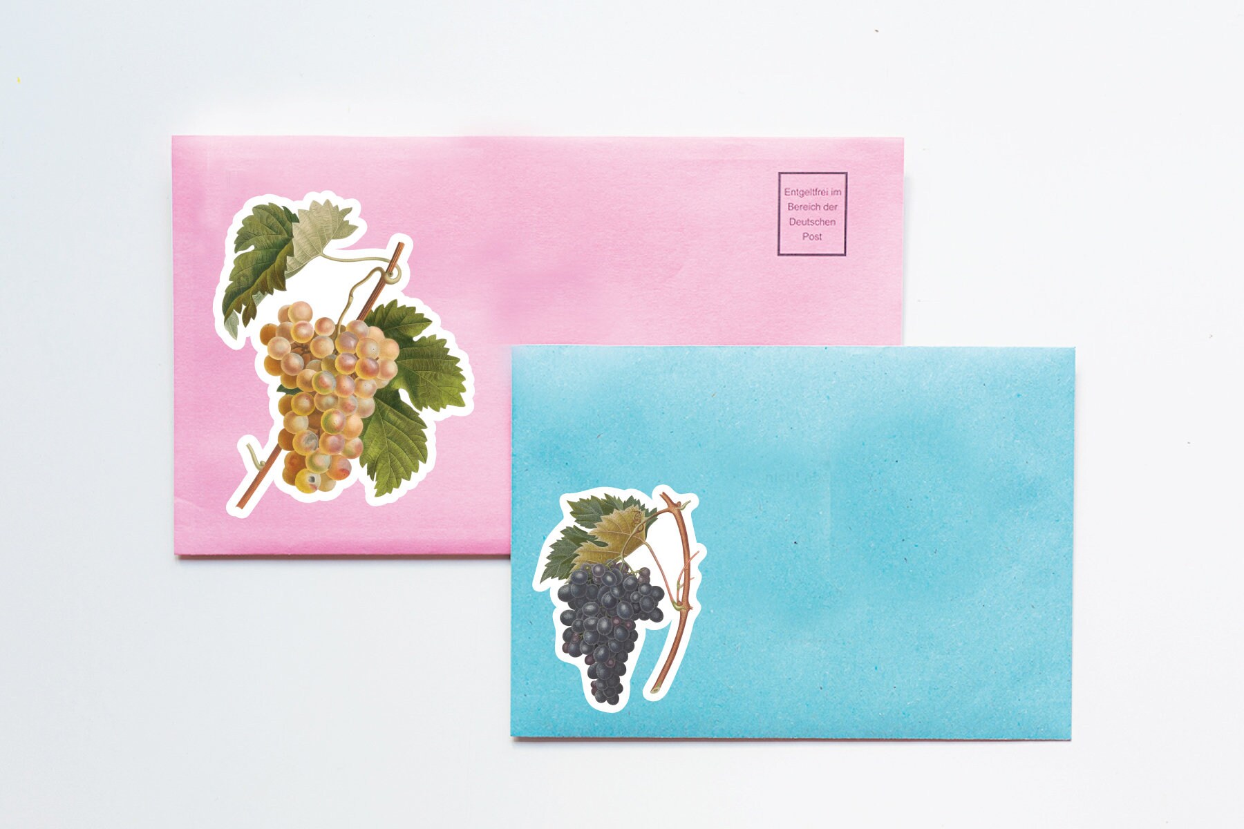 Grape Vines Sticker Sheets Paper Matte Stickers Vineyard - Etsy
