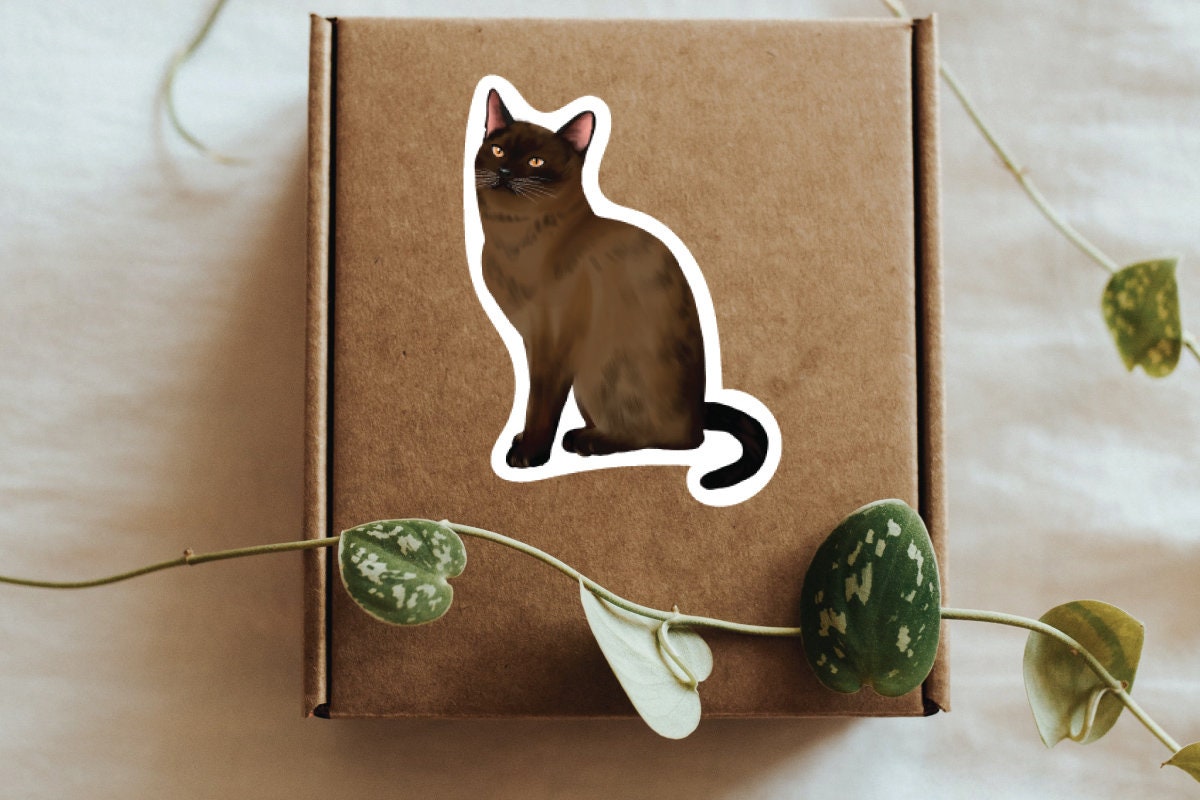 Burmese Cat Sticker Sheet Emojis Fancy Cat Stationary - Etsy