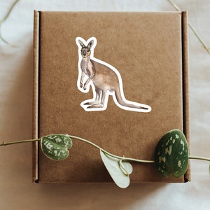 Kangaroo Sticker Sheet, Kangaroos, Australia, Animals, Zoo, Safari ...