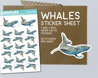 Beluga Whale Sticker Sheet, Matte Stickers, Zoo, Animal Love, Animals ...