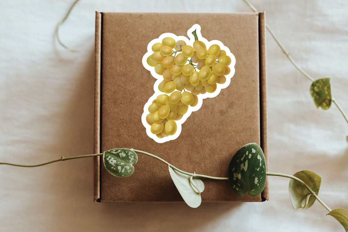 Grape Vines Sticker Sheets Paper Matte Stickers Vineyard - Etsy