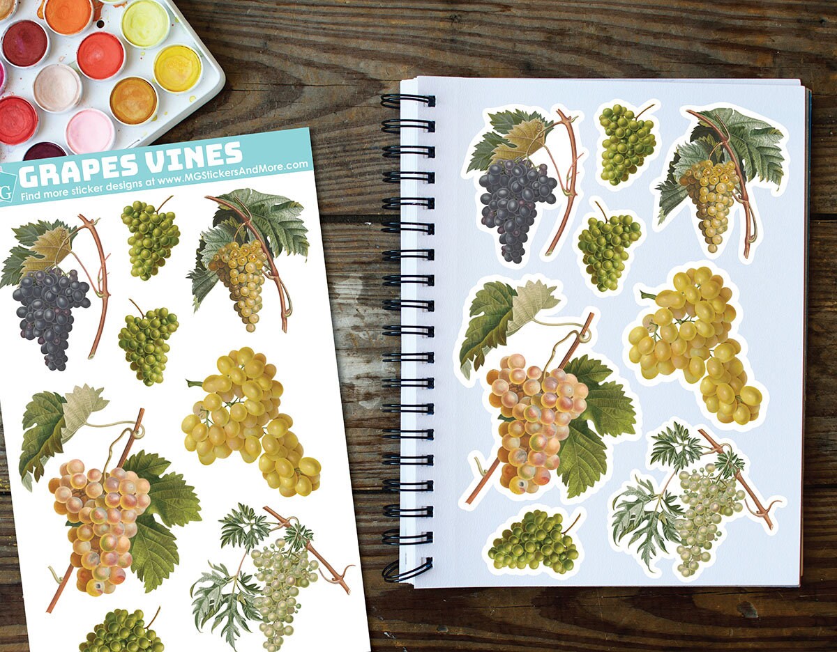 Grape Vines Sticker Sheets Paper Matte Stickers Vineyard - Etsy