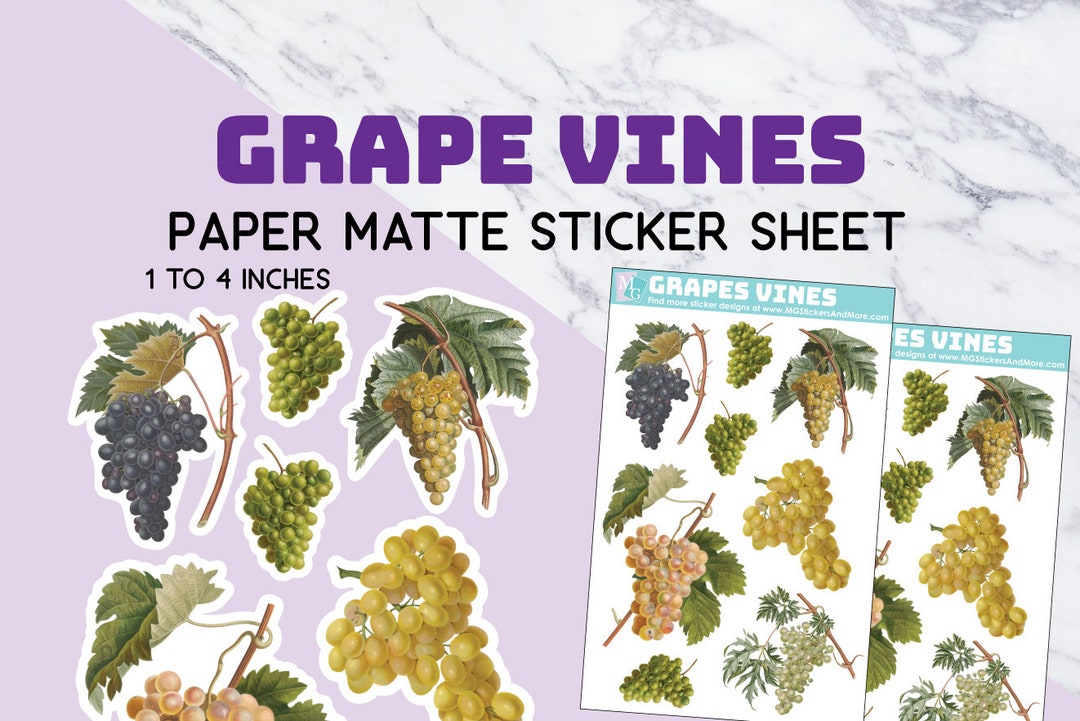 Grape Vines Sticker Sheets, Paper Matte Stickers, Vineyard, Fruits ...