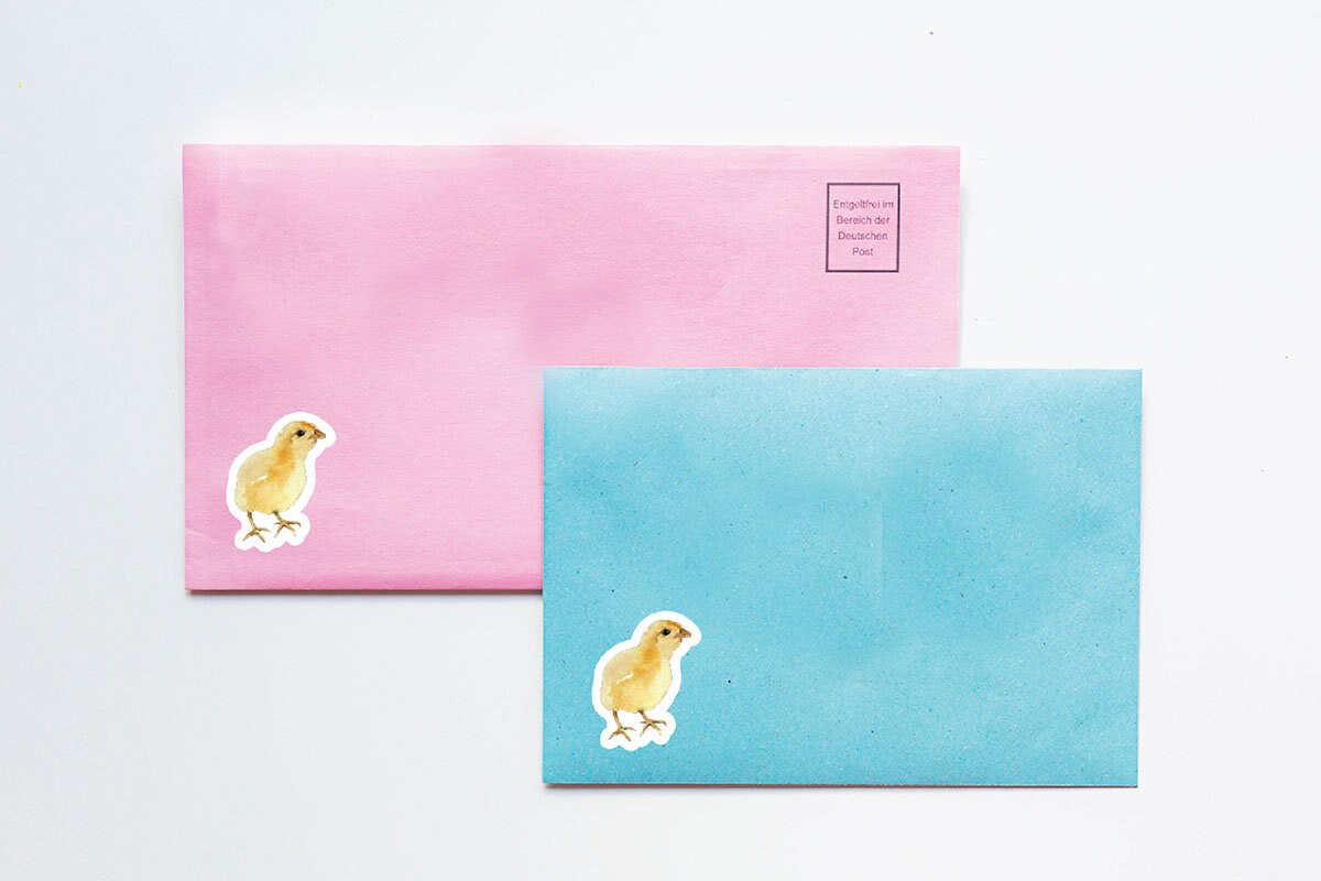 Chick Stickers happy chicks bullet journal hen farm | Etsy