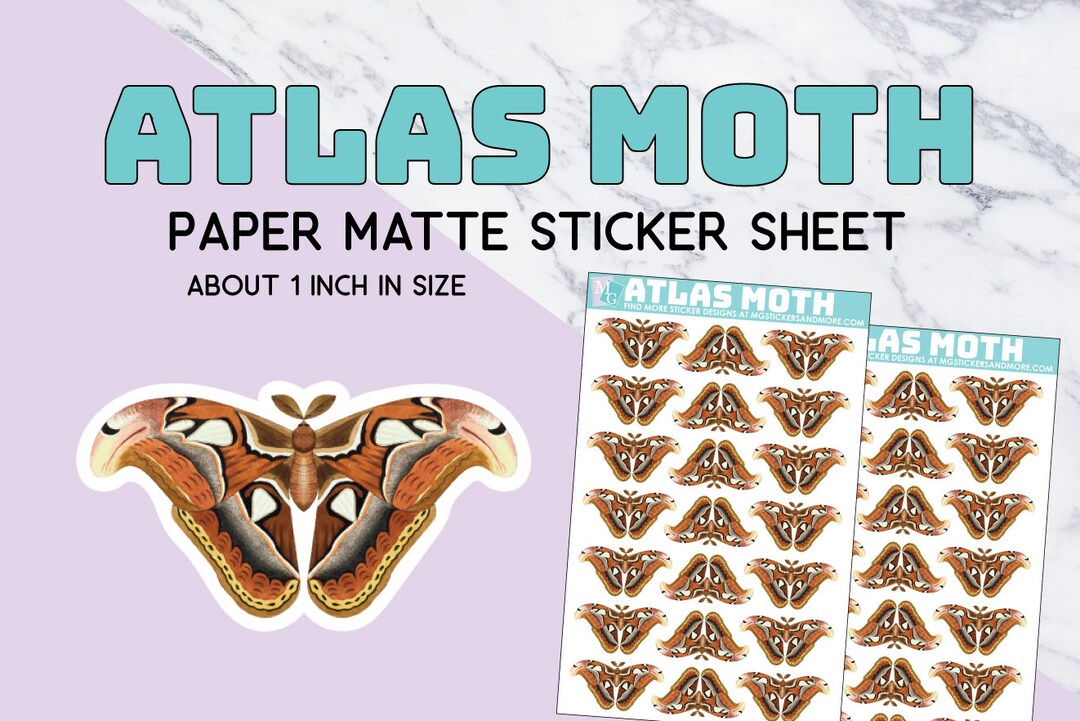 Atlas Moth Sticker Sheet, Stickers, Moths, Brown, Card Making, Botany ...