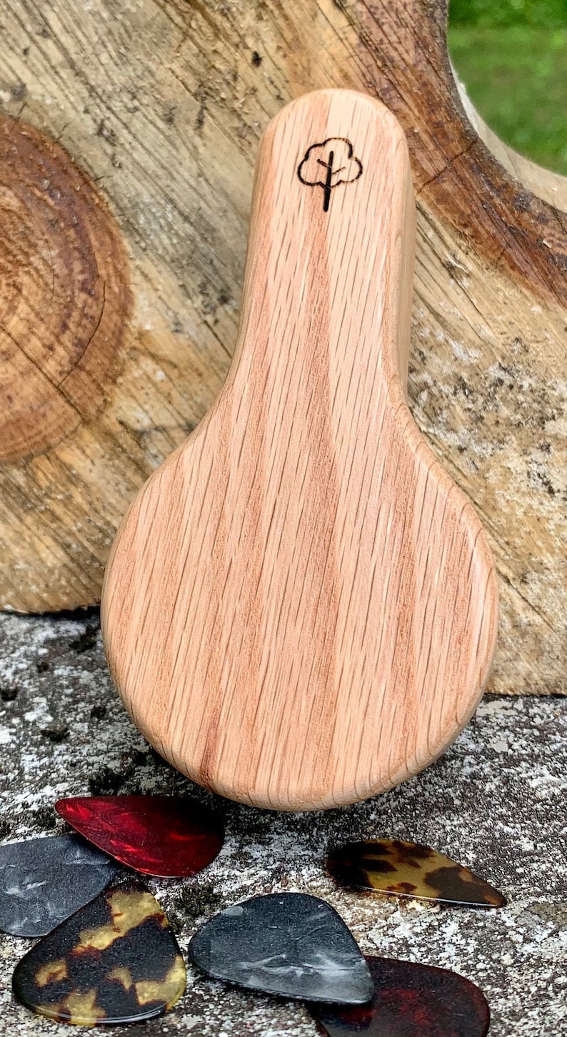 Mandolin Pick Case,pick Holder,pick Box,unique Gift Box,fathers Day ...