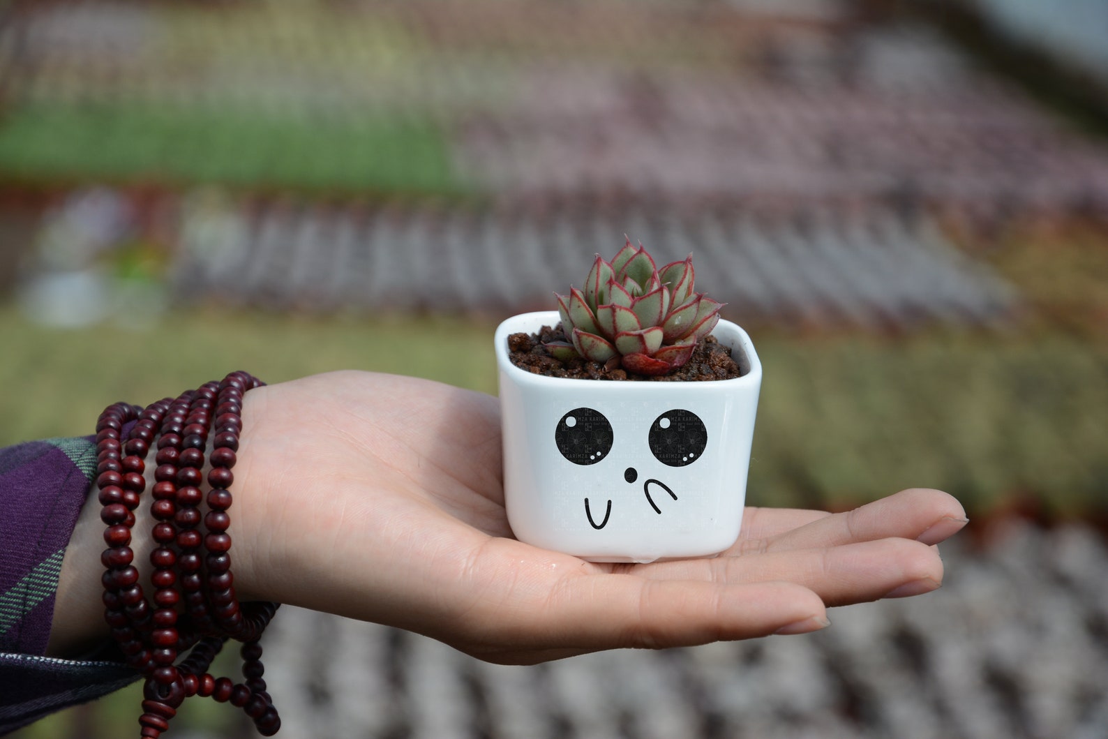 Cute Face Plant Pot SVG Digital Stickers INSTANT DOWNLOAD | Etsy