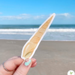 Auger Birth Shell Sticker ,sea Shell Sticker , Matte Clear Weatherproof ...