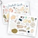 Seashell Guide, Shell Reference Guide, Beach Guide, Waterproof Shell ...