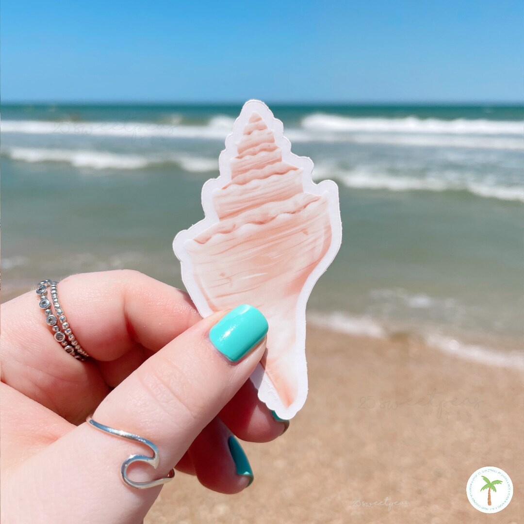 Birth Shell Sticker , Conch Shell Sticker , Matte Clear Weatherproof ...