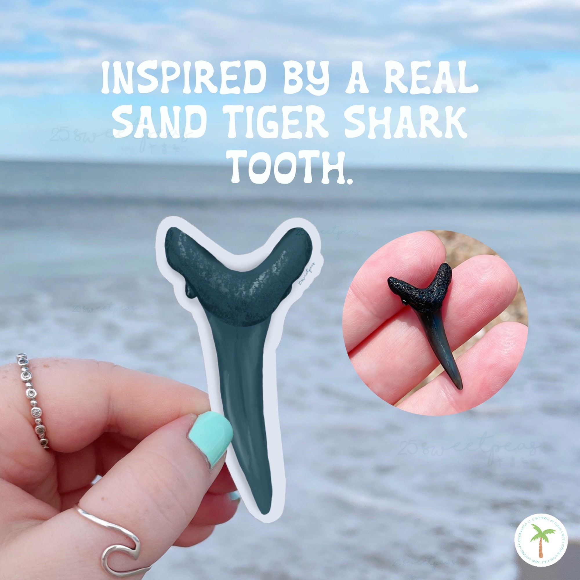 Shark Tooth Sticker Tiger Shark Tooth Sticker Matte Clear - Etsy