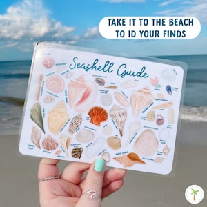 Seashell Guide, Shell Reference Guide, Beach Guide, Waterproof Shell ...