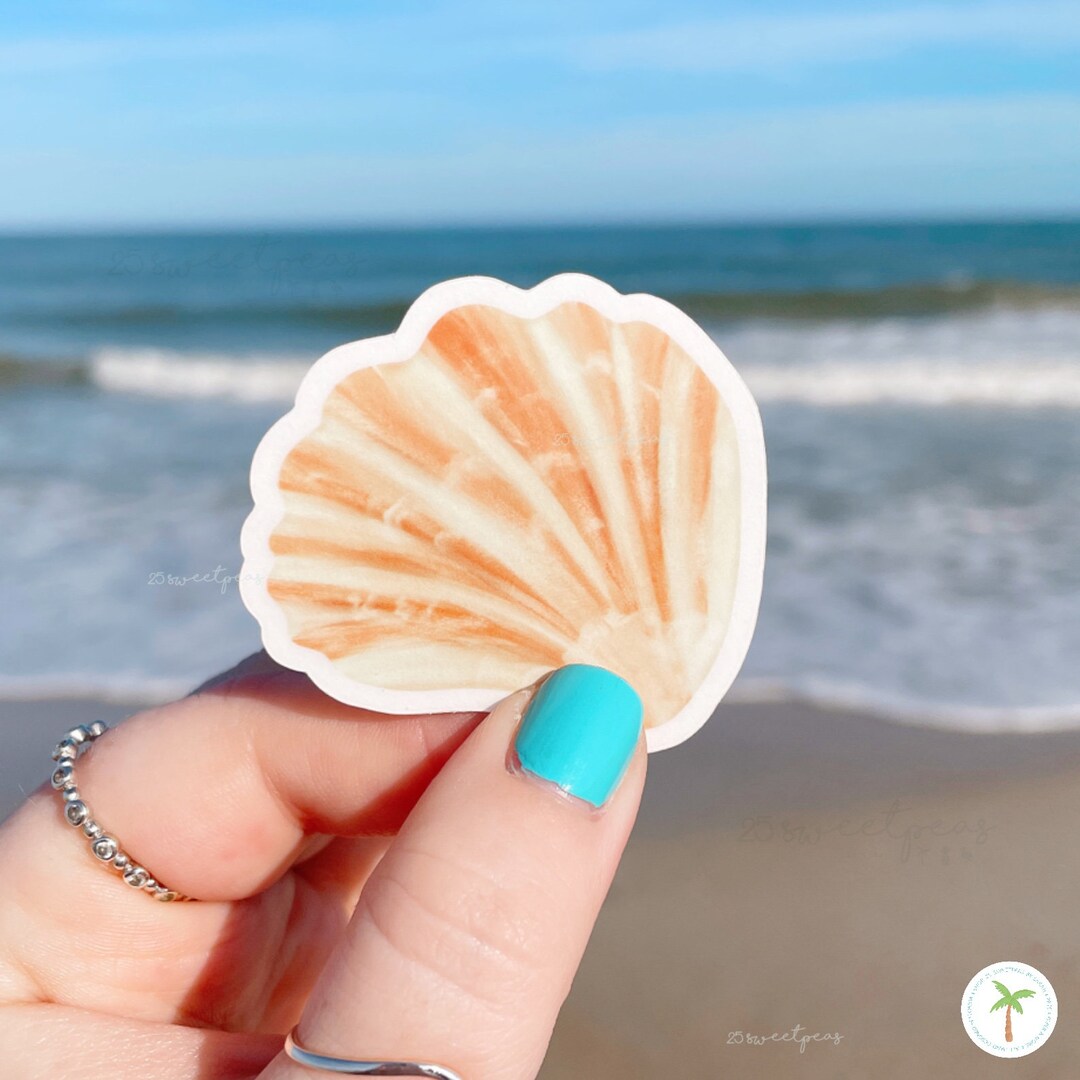 Kitten Paw Sea Shell Sticker , Birth Shell Sticker, Matte Clear ...