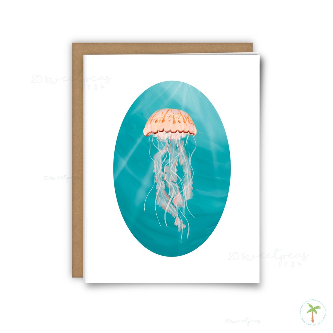 Sea Nettle Jellyfish Greeting Card, Everyday Blank Card, Marine Life ...
