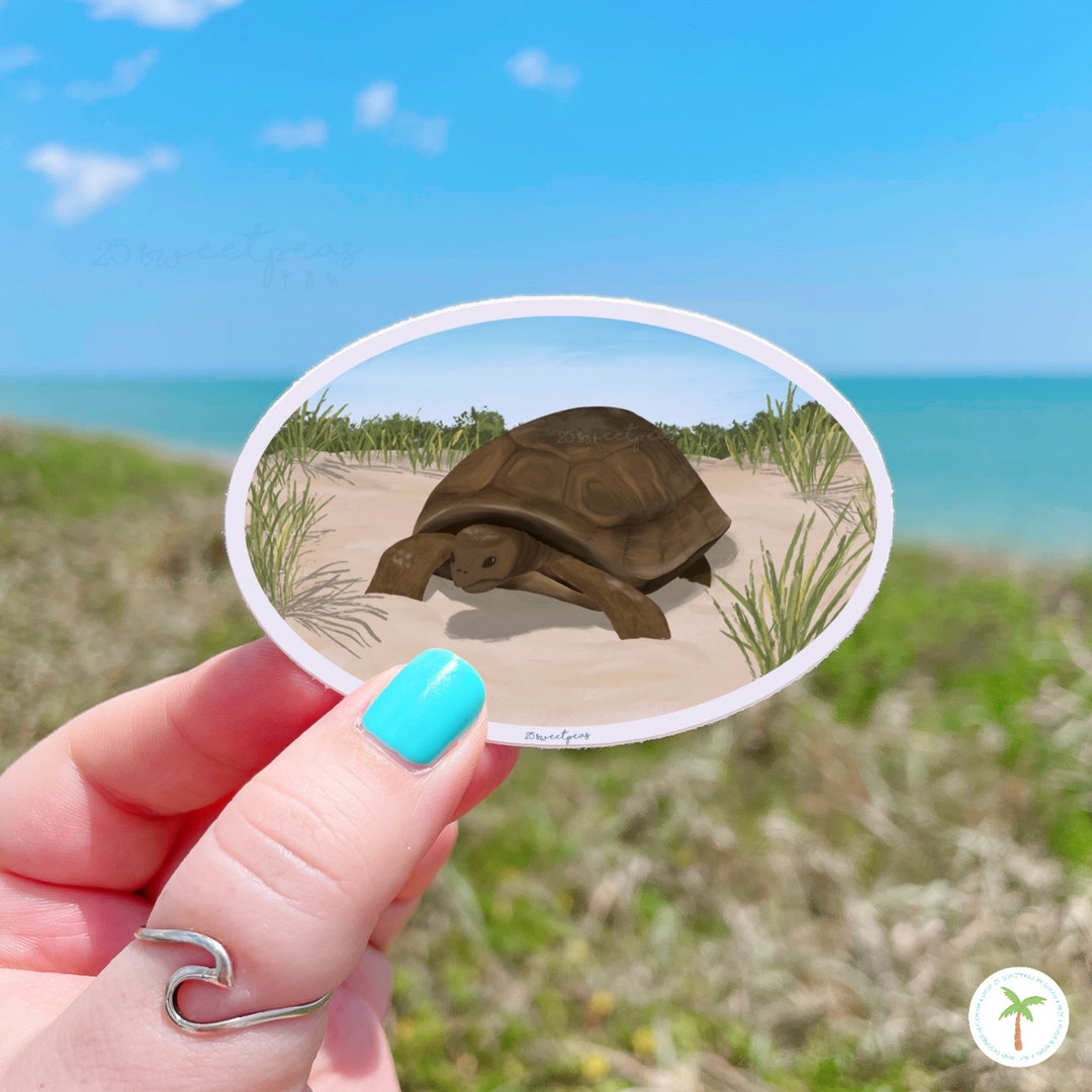 Gopher Tortoise Sticker , Ocean Sticker, Matte Weatherproof , Turtle ...
