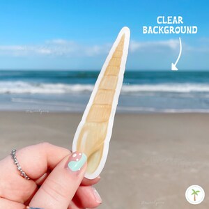 Auger Birth Shell Sticker ,sea Shell Sticker , Matte Clear Weatherproof ...