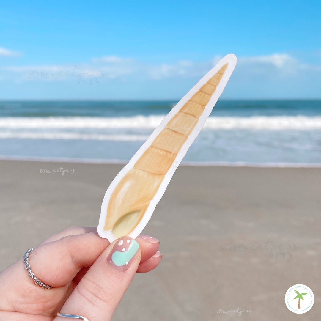 Auger Birth Shell Sticker ,sea Shell Sticker , Matte Clear Weatherproof ...
