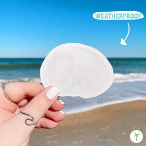 Baby's Ear Sea Shell Sticker , Birth Shell Sticker, Matte Clear ...