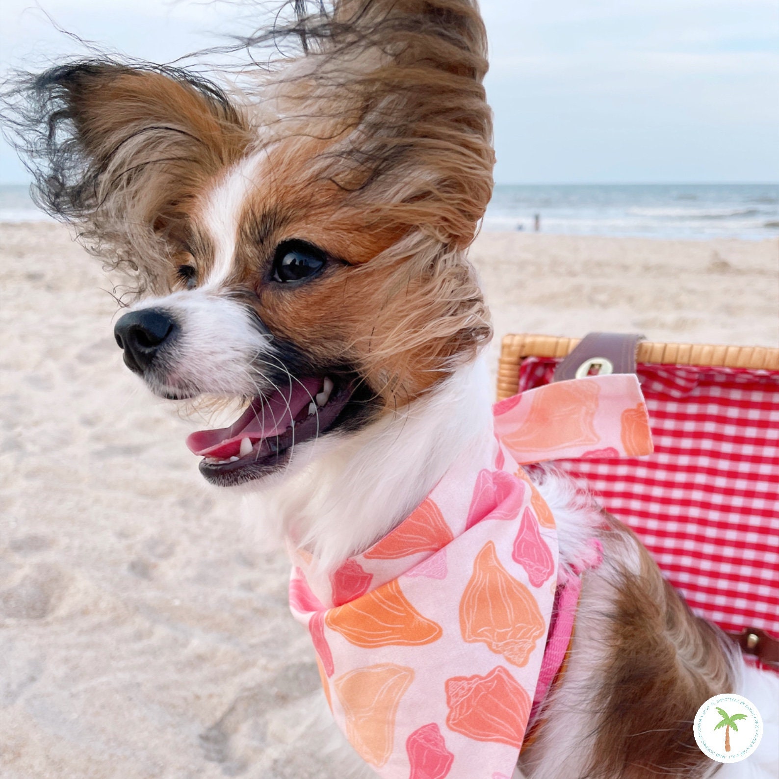 Conch Shell Tie on Bandana Beachy Dog Bandana Comfortable - Etsy