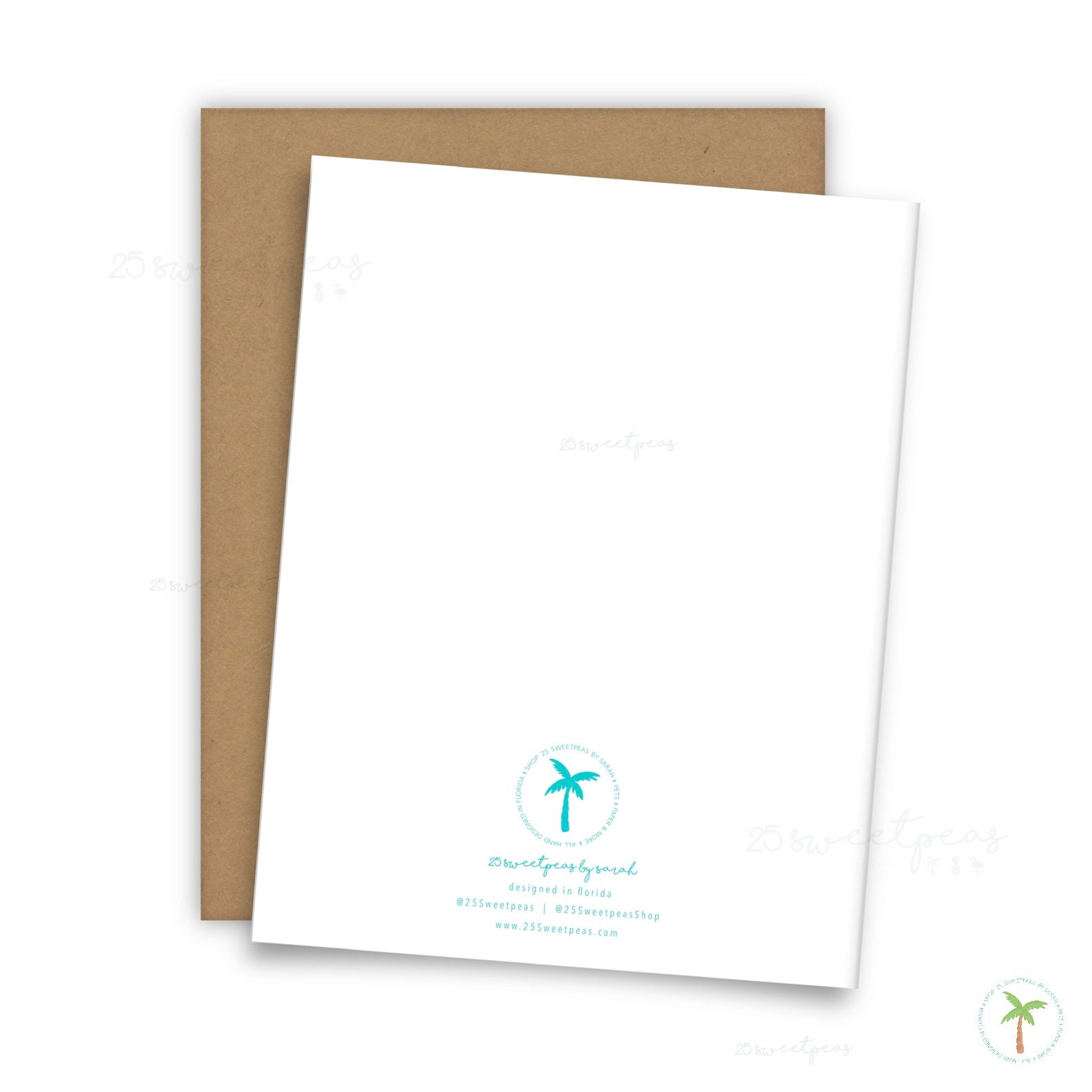 Conch Sea Shell Card Blank Card Beachy Birthday Card Birth - Etsy