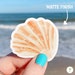 Kitten Paw Sea Shell Sticker Birth Shell Sticker Matte - Etsy