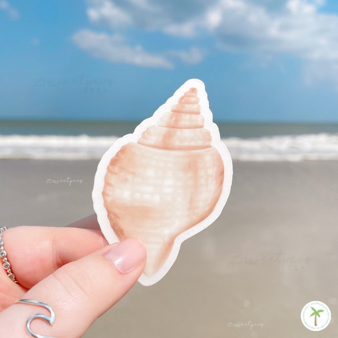 Birth Shell Sticker , Nutmeg Shell Sticker , Matte Clear Weatherproof ...