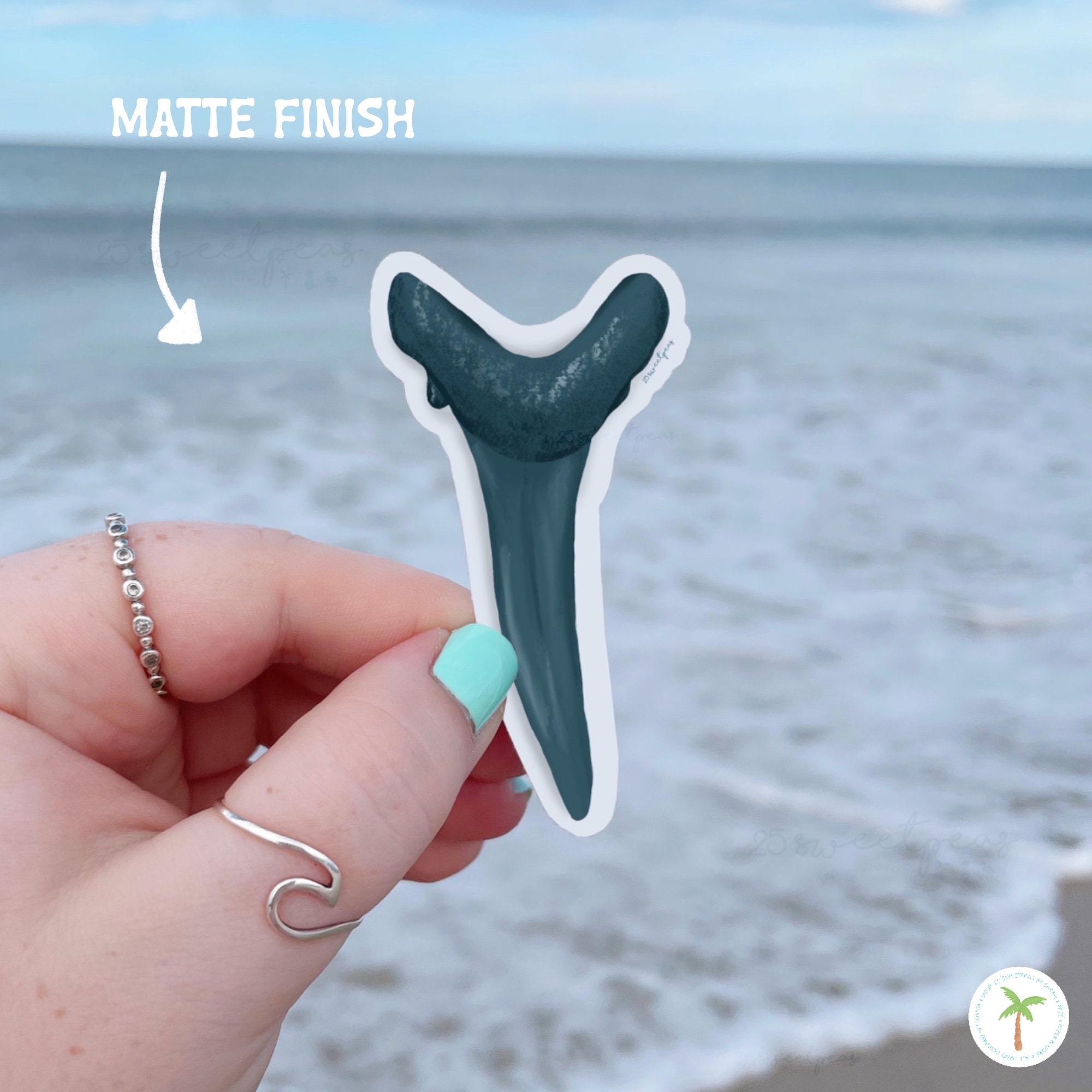 Shark Tooth Sticker Tiger Shark Tooth Sticker Matte Clear - Etsy