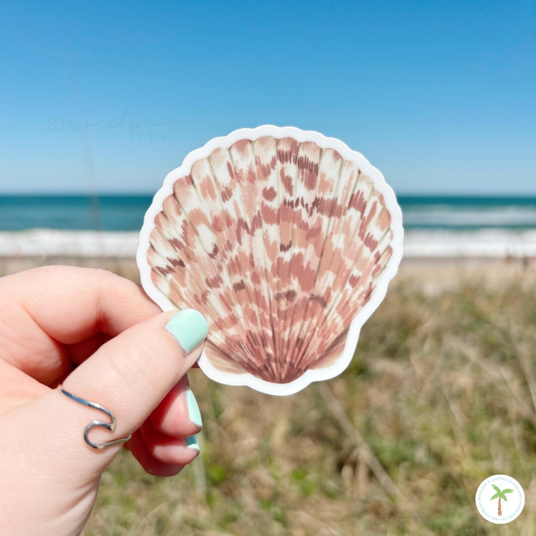 Calico Shell Sticker, Seashell Sticker, Sea Shell Lover Gift, Coastal ...
